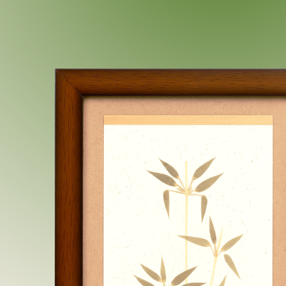 the bamboo series